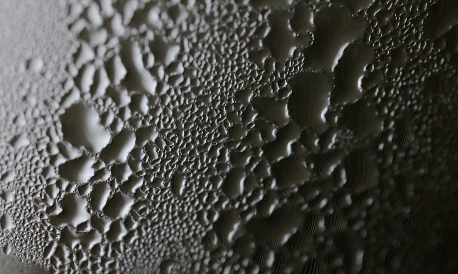 Damp Patch in the Ceiling: Causes and Fixes, and When to Call a Professional | TrustATrader